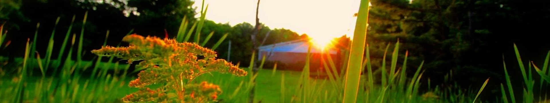 Initiative Course - Rock Mountain Bible Camp